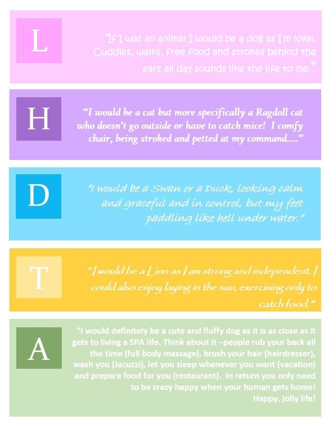 Interview Questions – What’s your personality? | Allstaff Recruitment